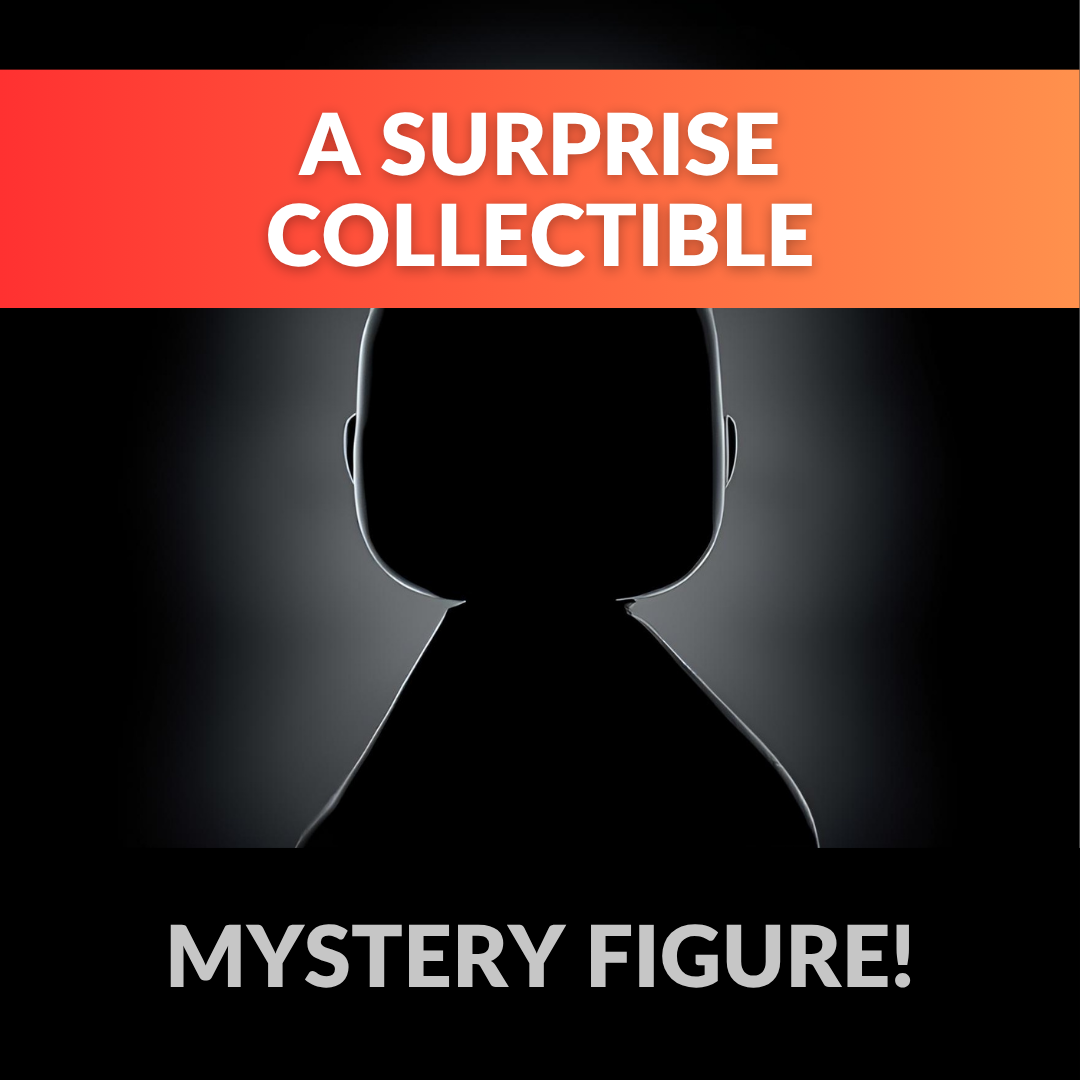 Mystery Blind Box Challenge: Funko Pop! Vinyl Figure – Blank Nerd